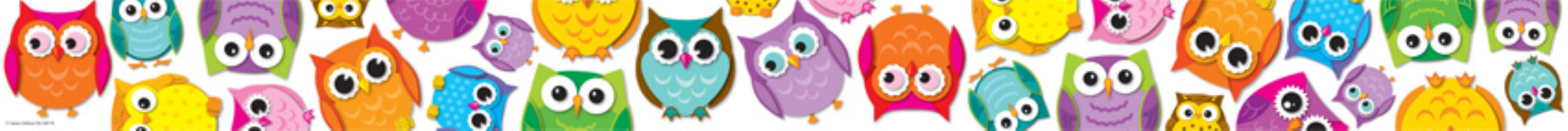 "Carson Dellosa Colorful Owl Bulletin Board Borders, 36 Feet of ...